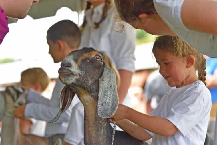 Welcome – Lebanon Country Fair, Lebanon, CT – July 28-30, 2023