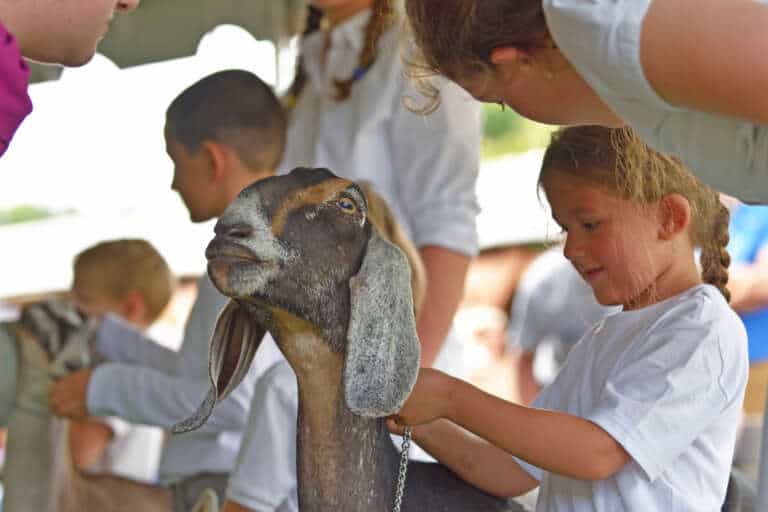 Welcome – Lebanon Country Fair, Lebanon, CT – July 28-30, 2023