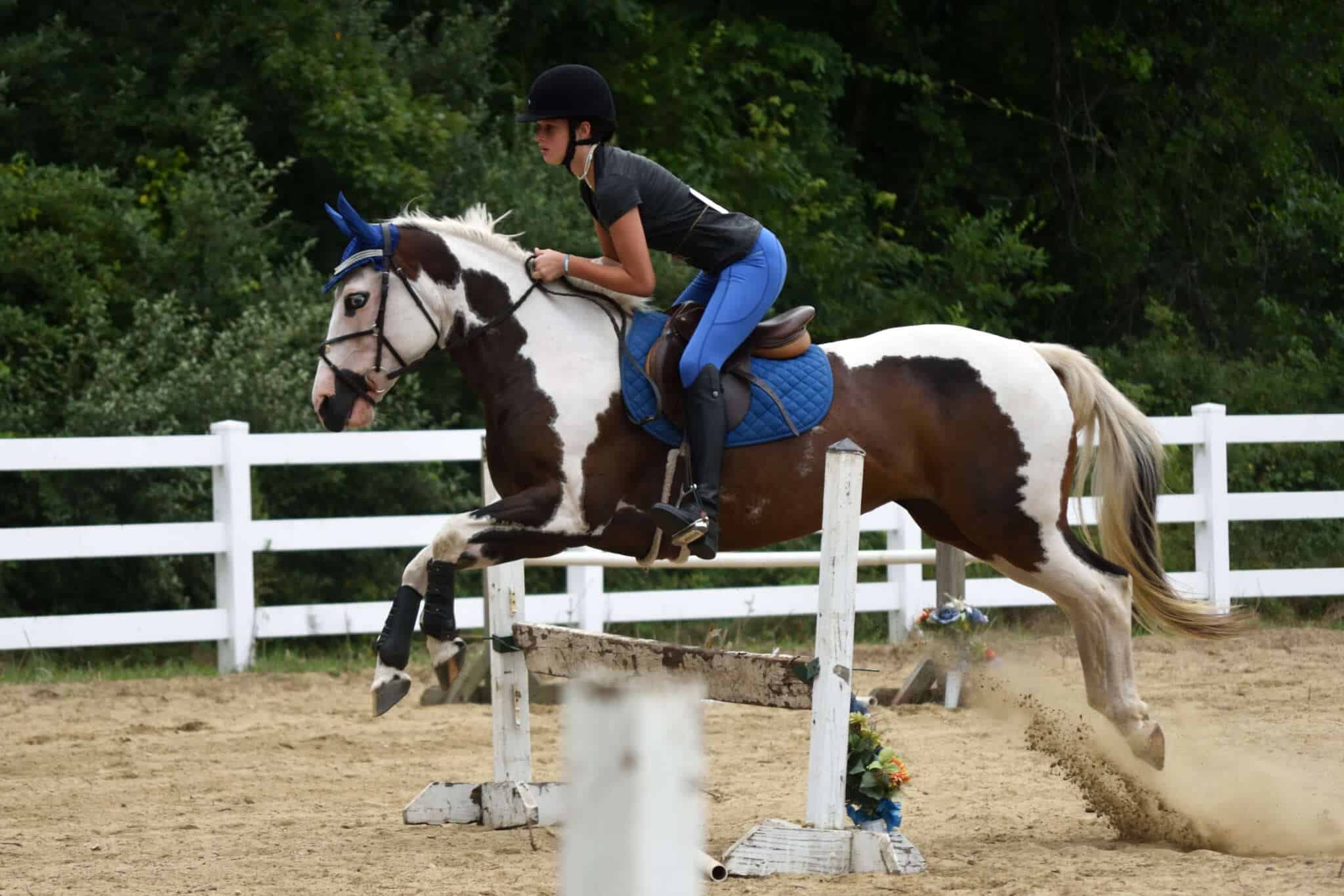 Welcome – Lebanon Country Fair, Lebanon, CT – NEW DATES: July 29-31, 2022