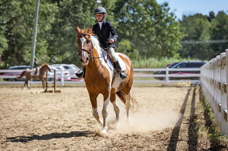 Lebanon Country Fair – Lebanon Country Fair, Lebanon, CT